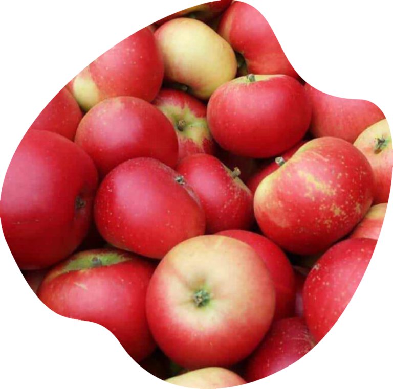 The Apple Farm – Tipperary Food Producers